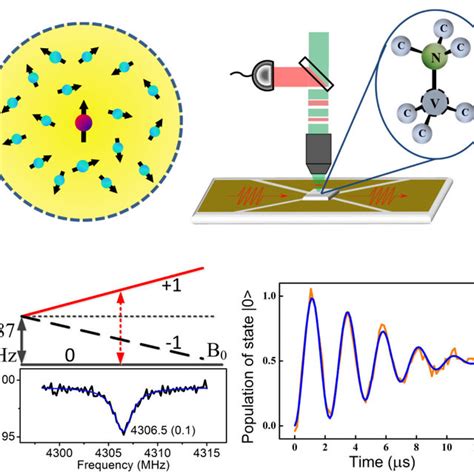 Color Online A A Spin Qubit Interacting With The Nuclear Spin