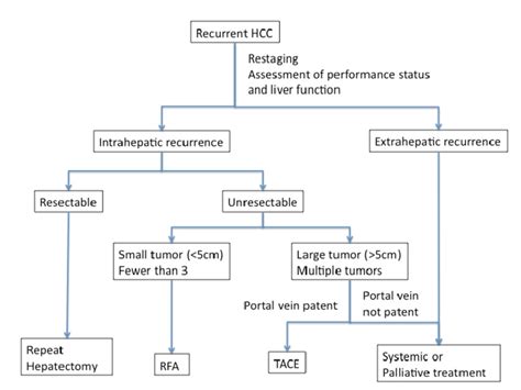 Algorithm Protocol For Treatment Of Recurrent Hcc Download Scientific