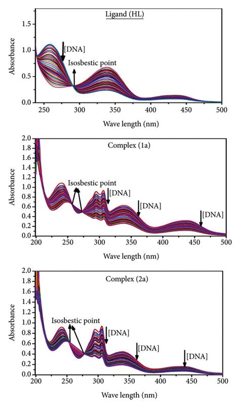 Increasing Concentrations Of Ct Dna Were Present While The Ligand Hl