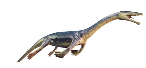 Nothosaurus By Walking With Dragons On Deviantart