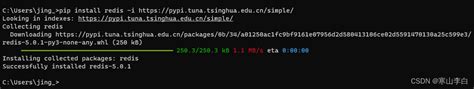 Python安装redis库pip Install Redis Csdn博客