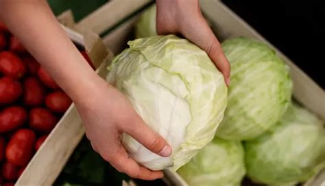 Viral 3 Potret Cantik Perempuan Timur Tengah Yang Ngaku Miss Libya 2023 Dan Keturunan Khadafi