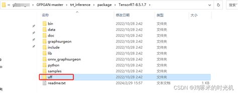 人脸高清算法GFPGAN之TensorRT推理 gfpganv pth CSDN博客