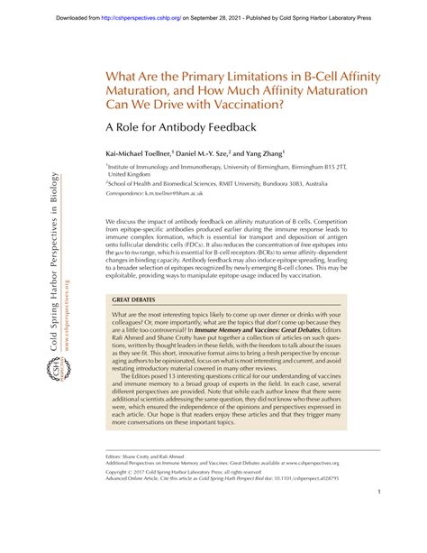 What Are The Primary Limitations In B Cell Affinity Maturation And How