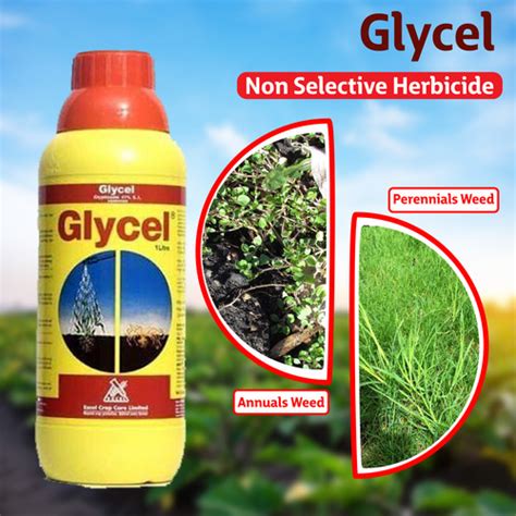 Non Selective Herbicide Application At Best Price In Patan