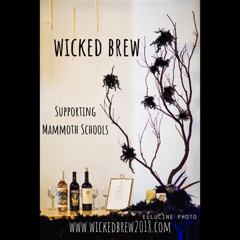 Mammoth Elementary School Pto