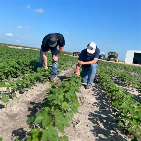 Lori Culler Posted On Linkedin