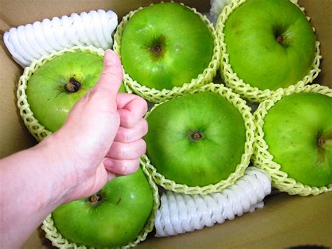 ブラムリーアップルが今年も届いた 新潟市中央区のカフェ「フェルマータ」