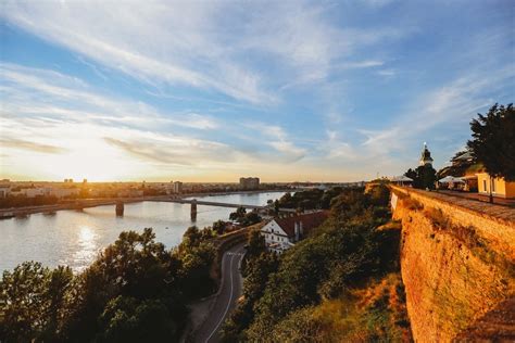 Free Picture Aerial Bridge Cityscape Danube Serbia Tourist