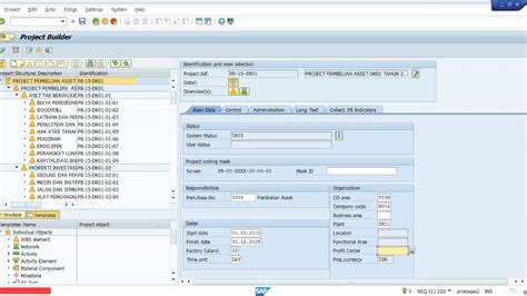 Tutorial Sap Ptpn Cj20n Create Project Pb Youtube