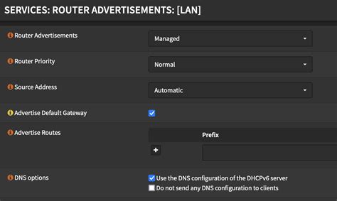 Opnsense Dhcp6 Voor Ipv6 In Het Lan Router Modem En Server