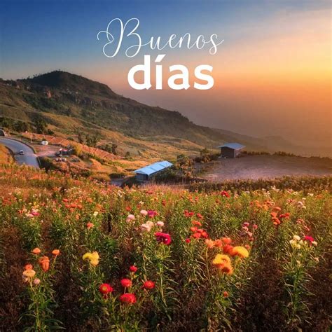 40 Imágenes De Buenos Días Inspira Amor ¡nuevas Y Bonitas
