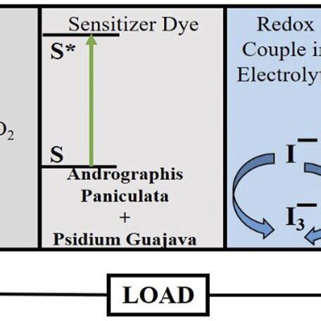 Block Diagram Of The Proposed DSSC System Download Scientific Diagram
