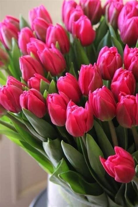 Букет ярко-розовых тюльпанов | Amazing flowers, Pretty flowers ...