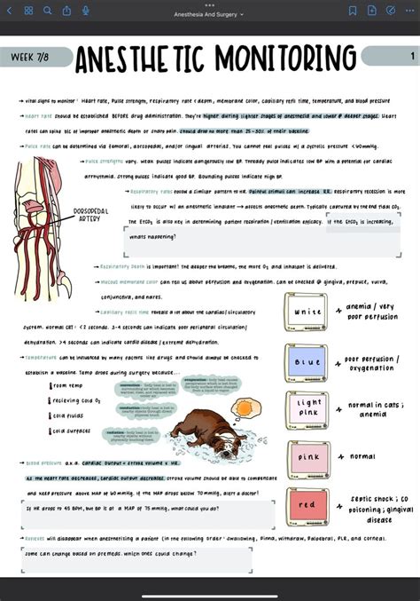 Printable Veterinary Anesthesia Monitoring Chart