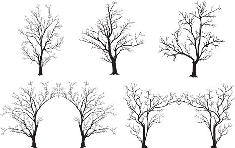 Silhouette Of Tree Without Leaves Vector Art At Vecteezy