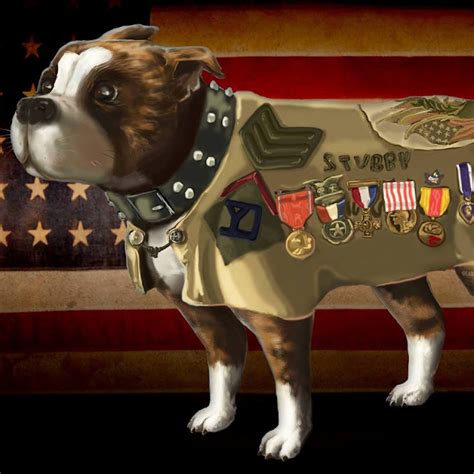 Roads To The Great War Coming In 2018 Sgt Stubby The Movie