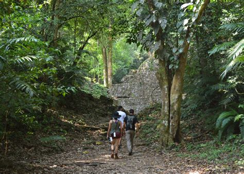 El Mejor Recorrido De La Selva Lacandona En Chiapas