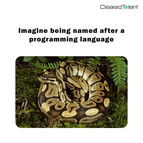 Clearedtalent On Linkedin Topical Trending Python Pythonprogramming