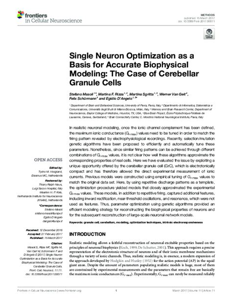 Pdf Single Neuron Optimization As A Basis For Accurate Biophysical Modeling The Case Of