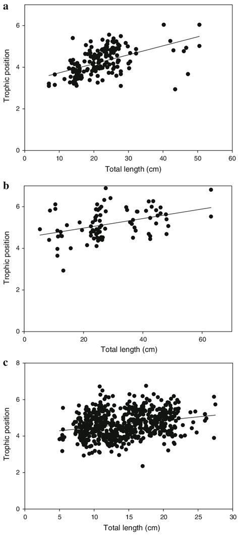 Relationships Between Body Size Total Length And Trophic Position For