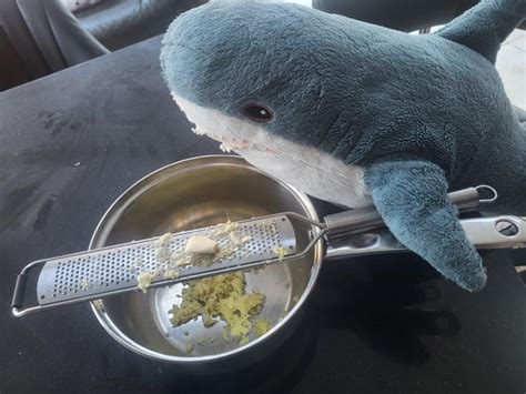 Zara cooks dinner, then relaxes with a snacc! : r/BLAHAJ