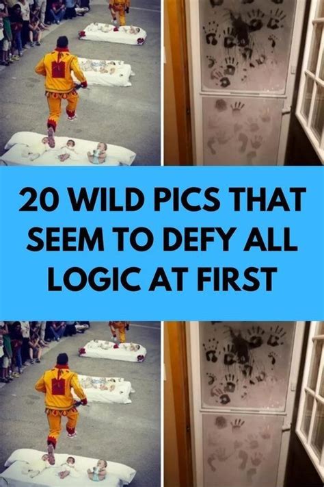 15 mysterious objects that the internet helped people identify artofit
