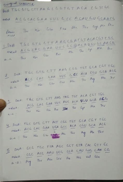 Solved I Instructions Given The Original Sequence Identify The