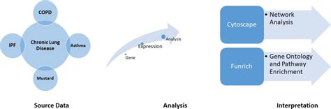 workflow of data collection and analysis of genes and pathways