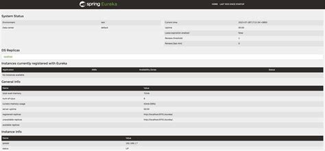 Quick Start Tutorial On Microservices With Spring Cloud Netflix Eureka Thecodinganalyst