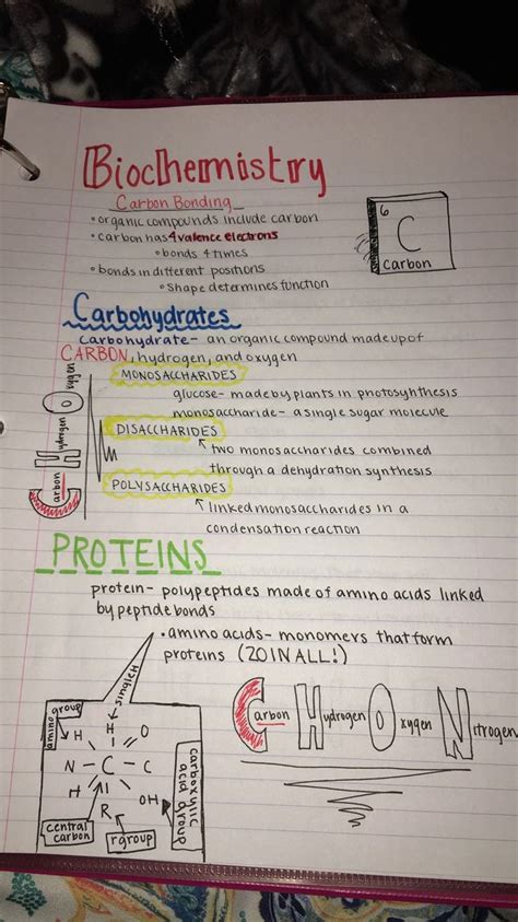 Biochemistry Notes For Pre Ap Biology