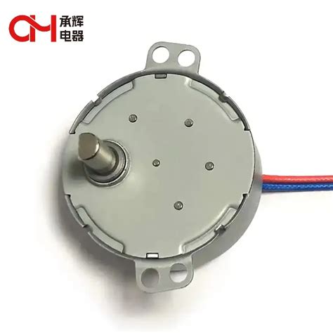 Custom Synchronous Motor Ty 50 Egg Incubator Motor Use For Microwave