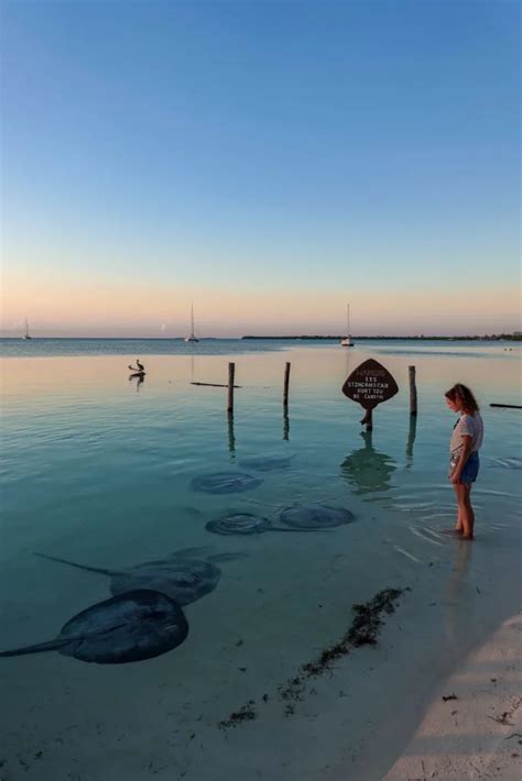 Belize Snorkeling The Top 16 Snorkeling Spots In Belize