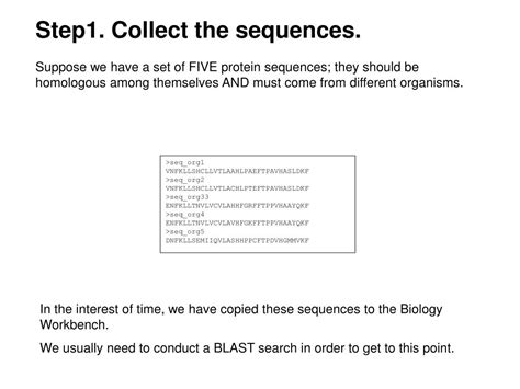 ppt constructing phylogenetic trees powerpoint presentation free