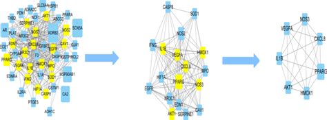 Process Of Topological Screening For The Ppi Network Download Scientific Diagram