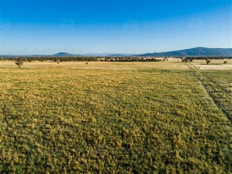 Image Of Aerial View Of Grassy Farm Landscape Of Wide Flat Paddock