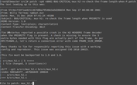New Vulnerability Haproxy Critical Security Update Loadbalancer