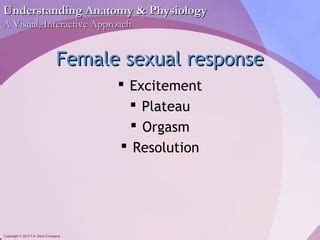 Chapter Reproductive System PPT