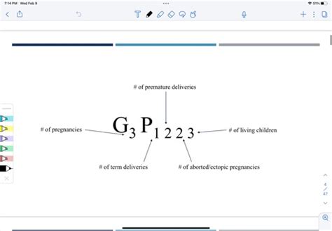 Pregnancy Flashcards Quizlet