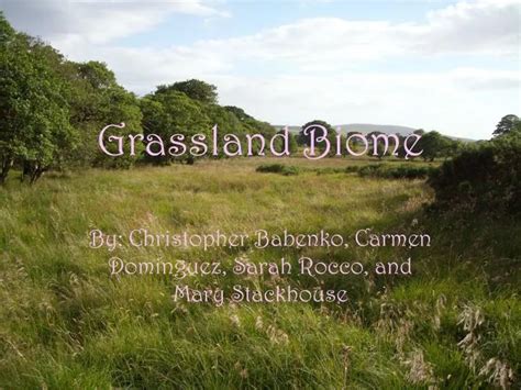 Ppt Grassland Biome Powerpoint Presentation Free Download Id1561432