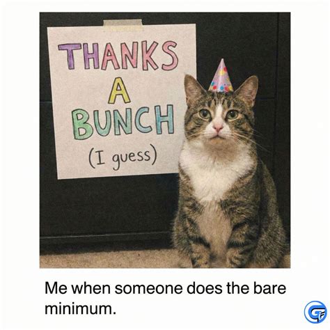 Thank You Meme S And Images Buon 
