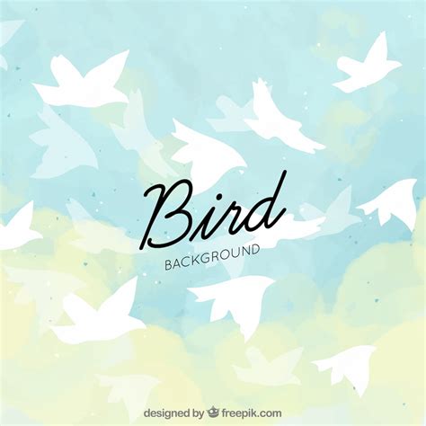 실루엣 비행 새 배경 무료 벡터