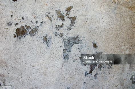 에라초 바닥은 매끄러운 질감 천연 돌 화강암 대리석 석영 콘크리트모자이크 바닥의 사실적인 벡터 패턴 클래식 한 이탈리아 바닥 장식 렌더링 인쇄를 위한 반복 가능한 디자인 0