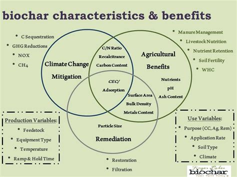 Biochar Characteristics And Benefits Natural Farming Survival