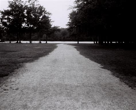 Shybiker We Interrupt Our Normal Programming