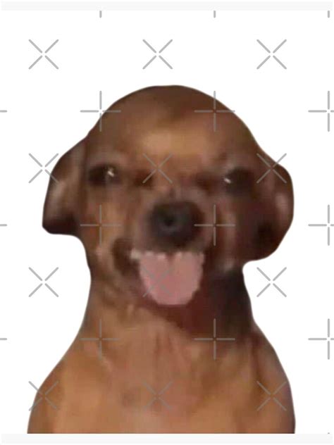 Tongue Face Memes