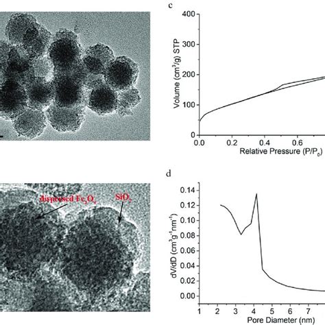 A And B TEM Images Of Fe 3 O 4 SiO 2 At Different Scales C N 2 Download Scientific