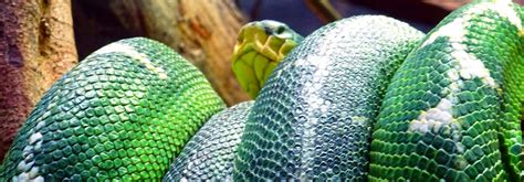 Explore Python Programming Rheinwerk Computing