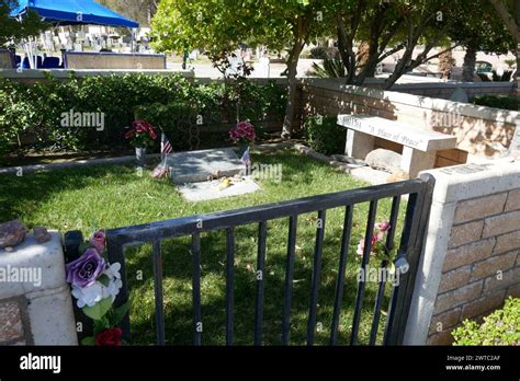 Las Vegas Nevada Usa 8th March 2024 Actor Tony Curtis Grave In Legacy