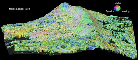 Mapping Functional Diversity Of Forests With Remote Sensing The Watchers